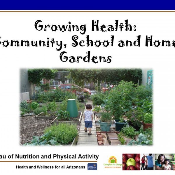 Community and School Gardens Allison Parisi - AZ Healthzone